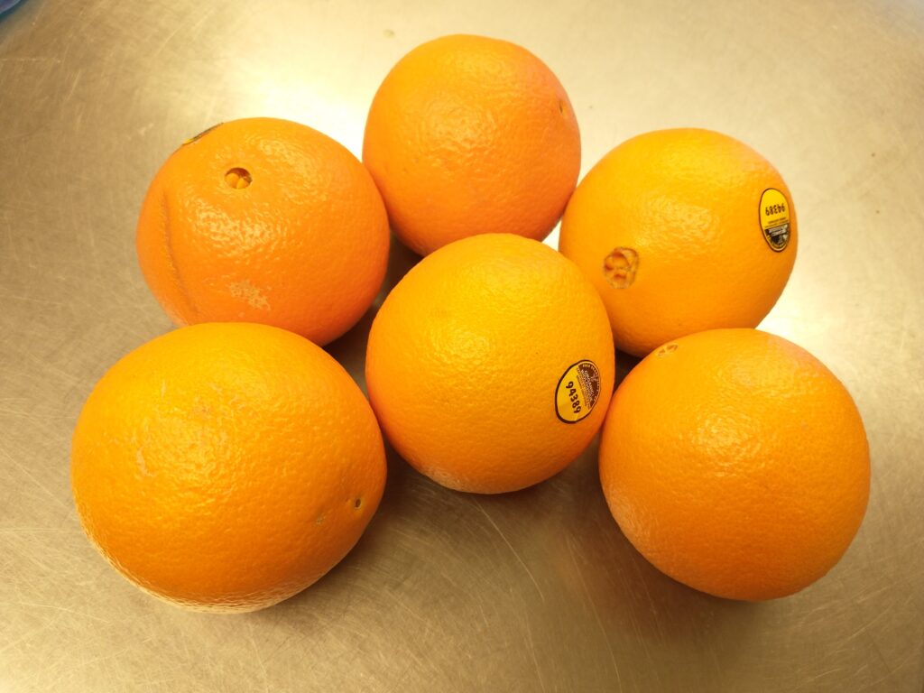 Heirloom Navel Oranges – NSHF
