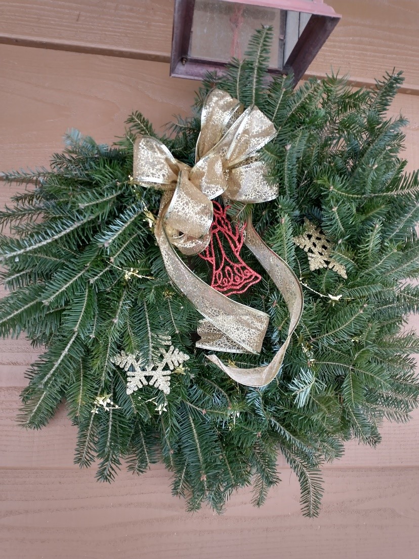 Christmas of Stewardship – NSHF