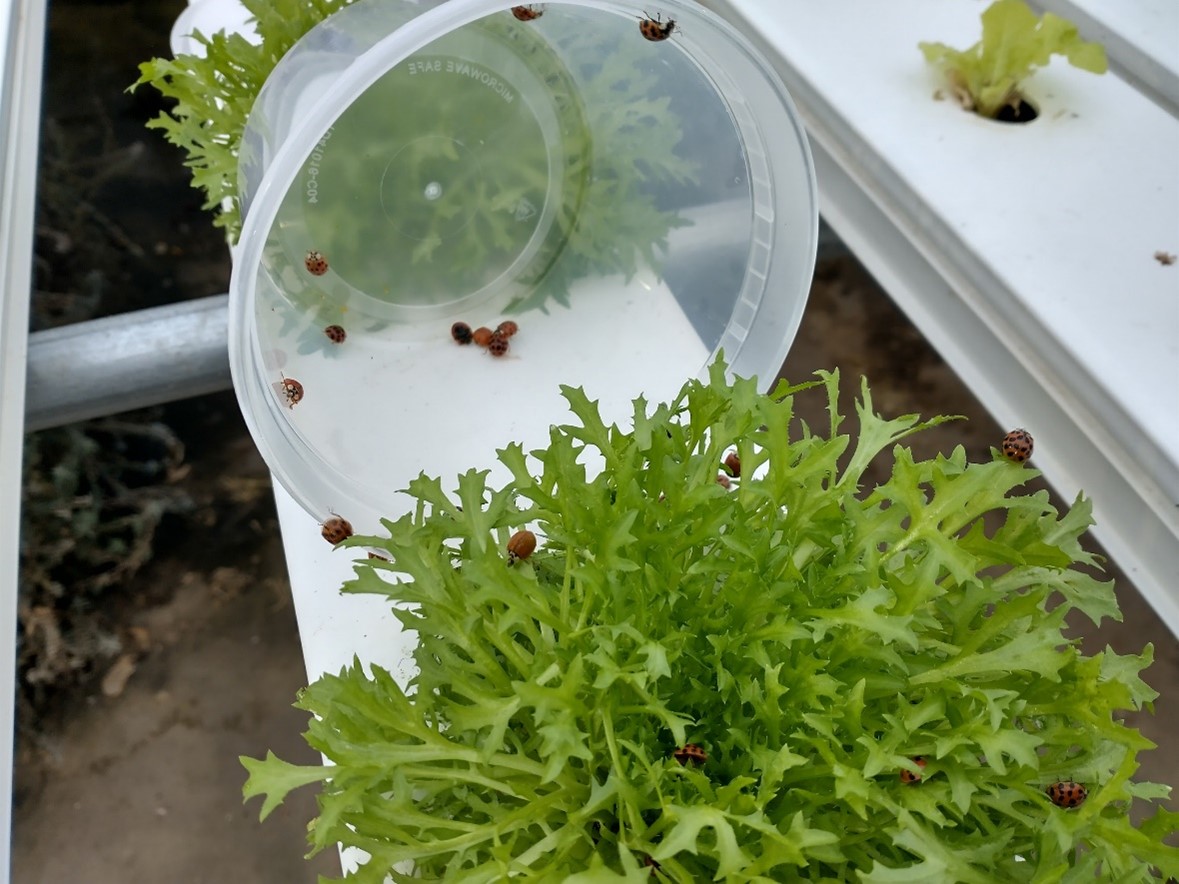 Good Guys and Bad Guys on the Farm - NSHF