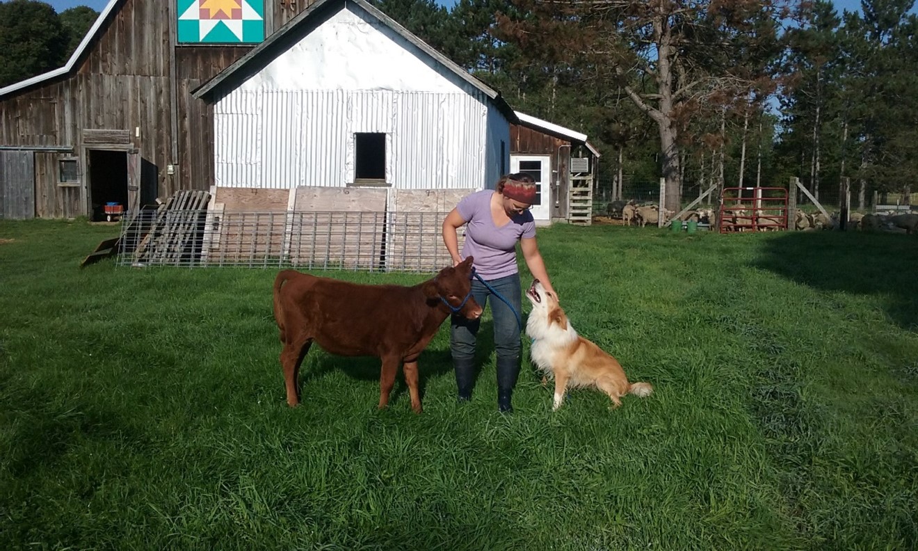 Feet on the Street, Farming – NSHF